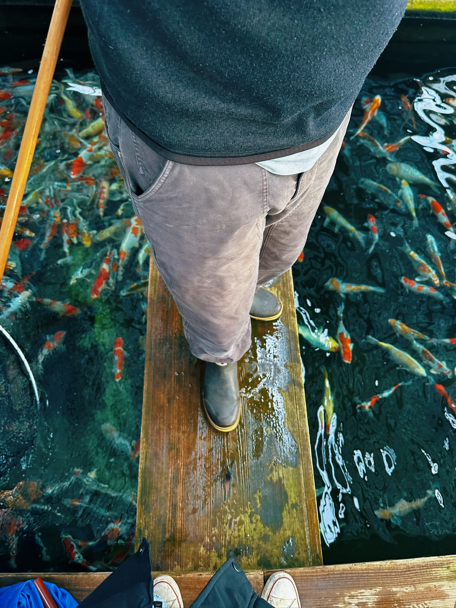 ABOUT – Aqua Fauna Ponds